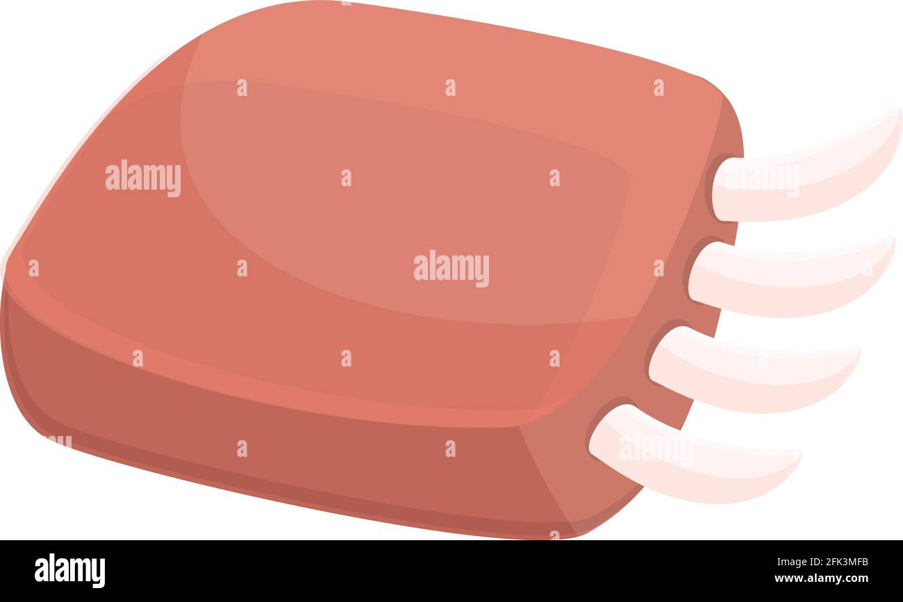 Raw meat icon. Cartoon of Raw meat vector icon for web design isolated ...