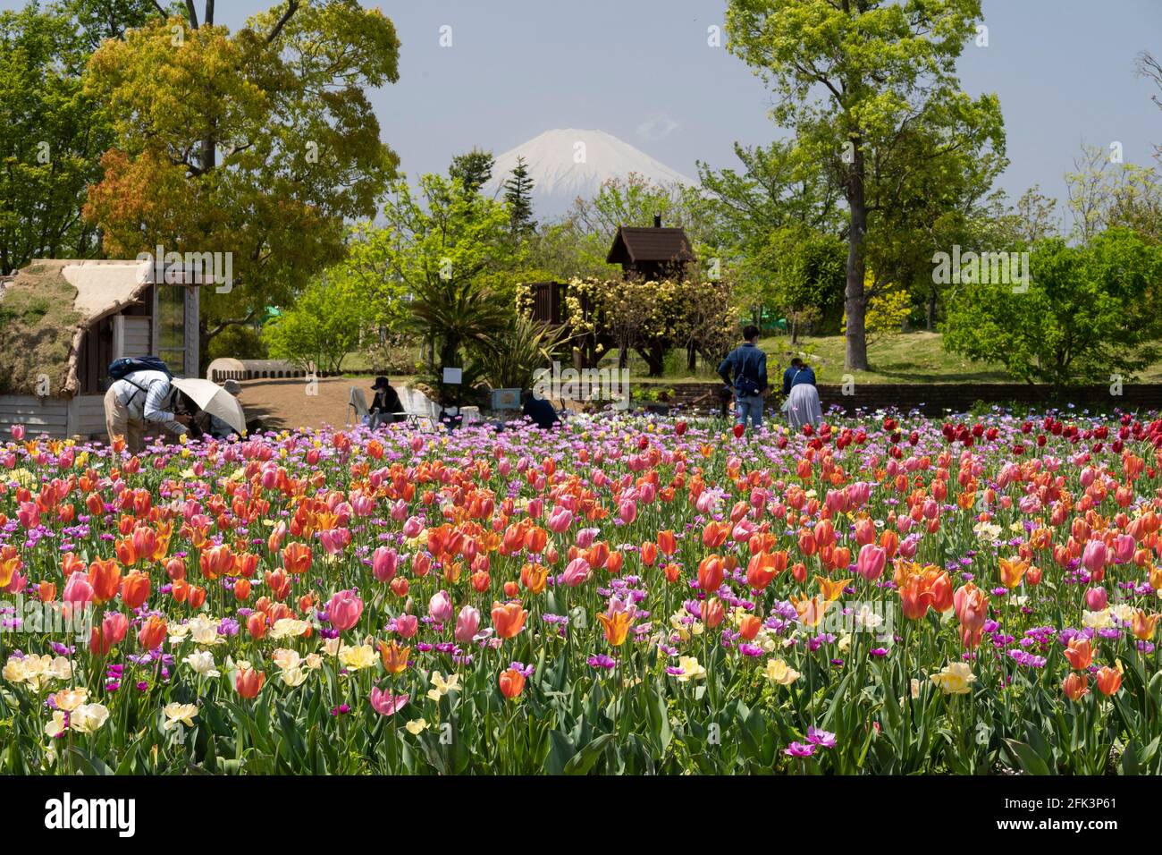 Hiratsuka city hi-res stock photography and images - Alamy