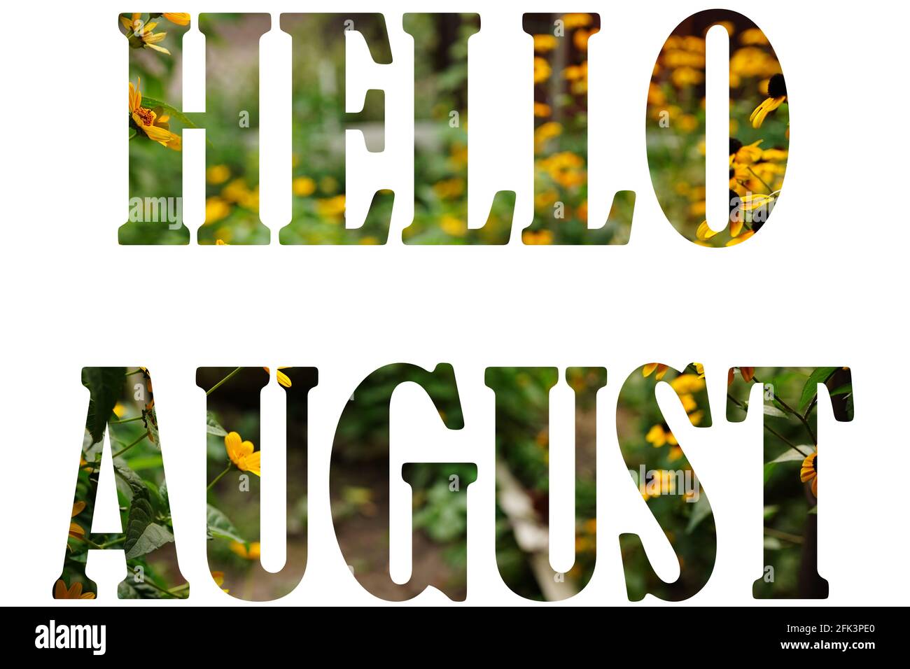 Hello beautiful calligraphy text hi-res stock photography and images ...