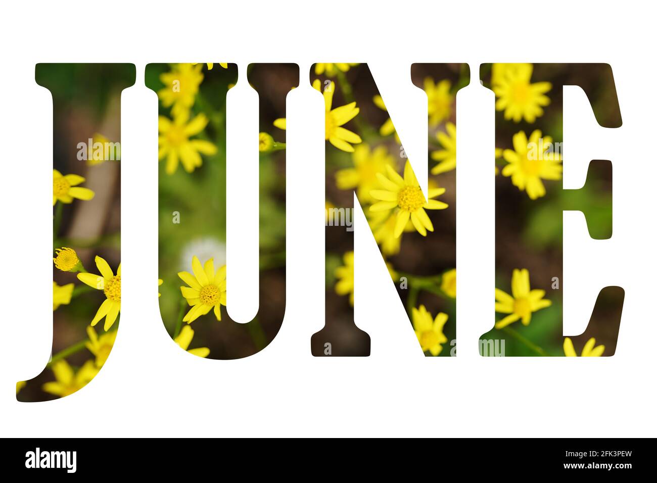 Beautiful typography background hand Cut Out Stock Images & Pictures ...