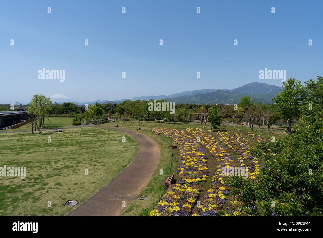 Mt.Oyama and Mt.Fuji, view from Kana Garden, Hiratsuka City, Kanagawa ...