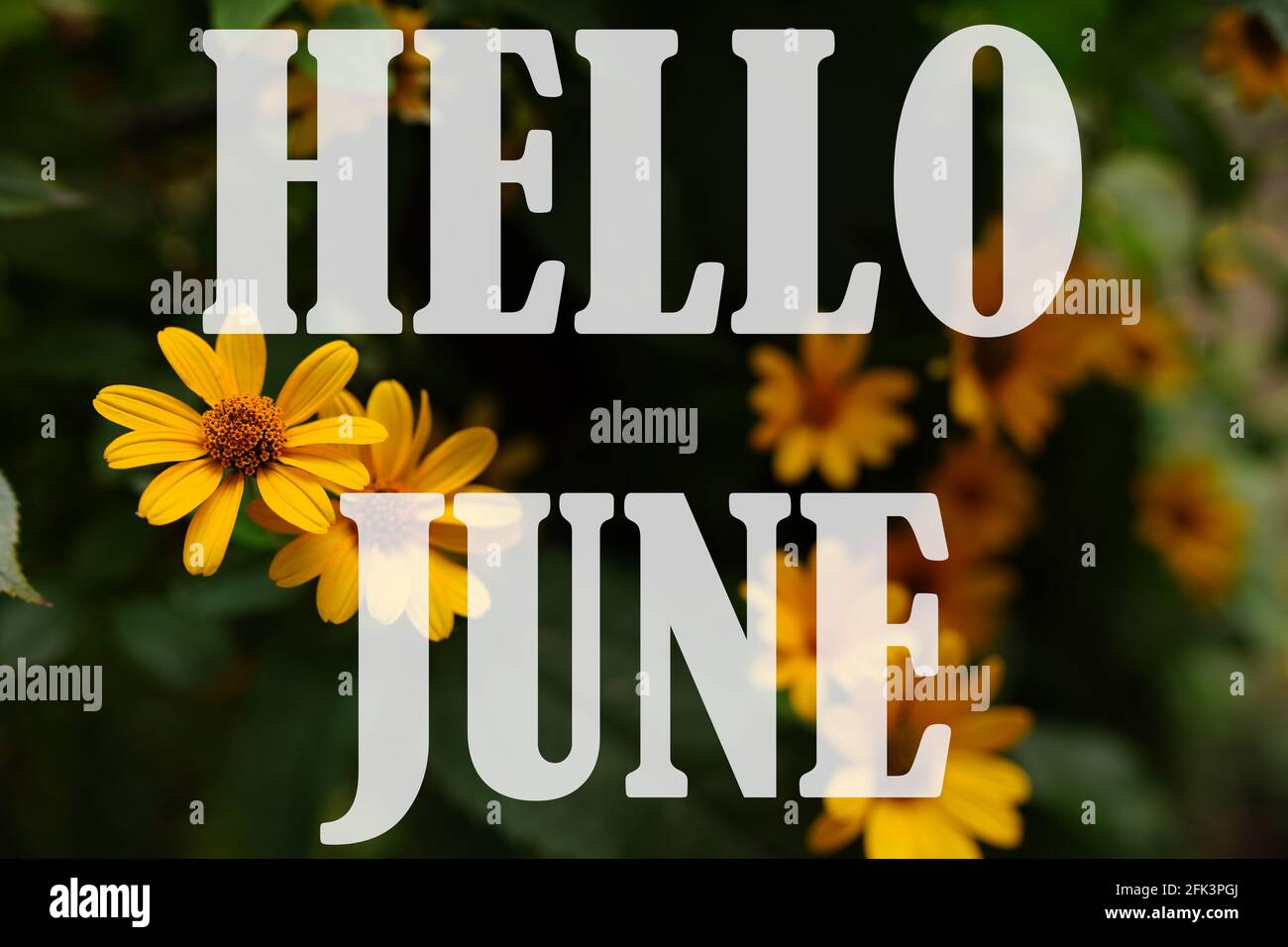 Welcome brush lettering card calligraphy hi-res stock photography and ...