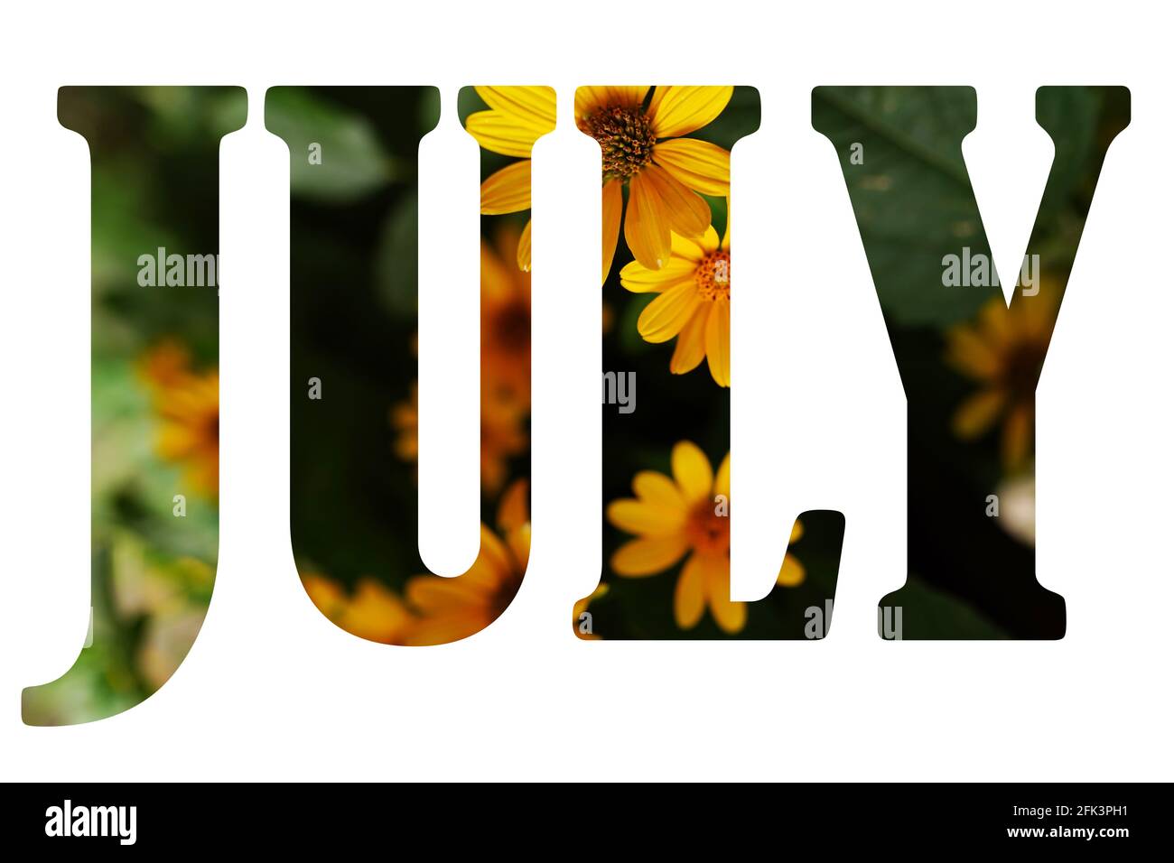 Beautiful typography background hand Cut Out Stock Images & Pictures ...