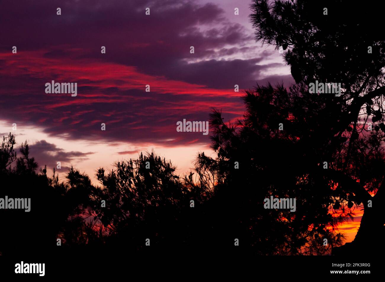 Cloud red orange tree silhouette sunset hi-res stock photography and ...