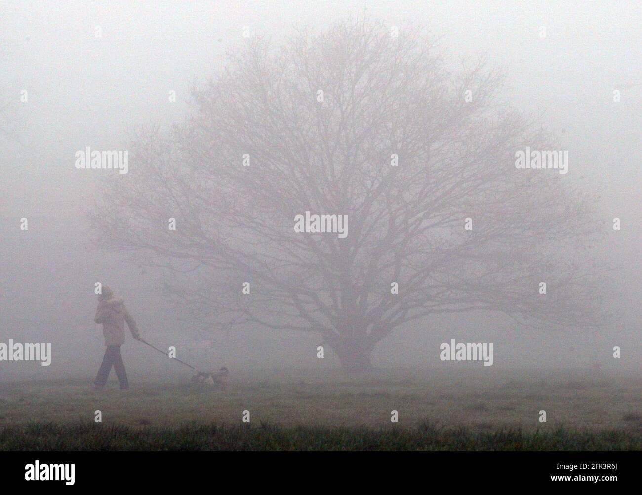 Heavy Mist across the UK... wimbledon common pic David Sandison 21/12 ...