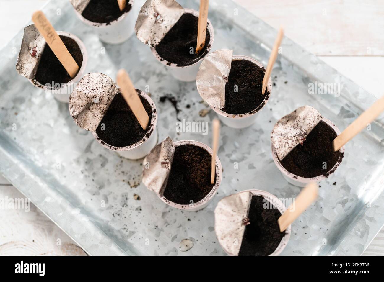 Planting seeds into coffee pods to start an indoor vegetable garden ...
