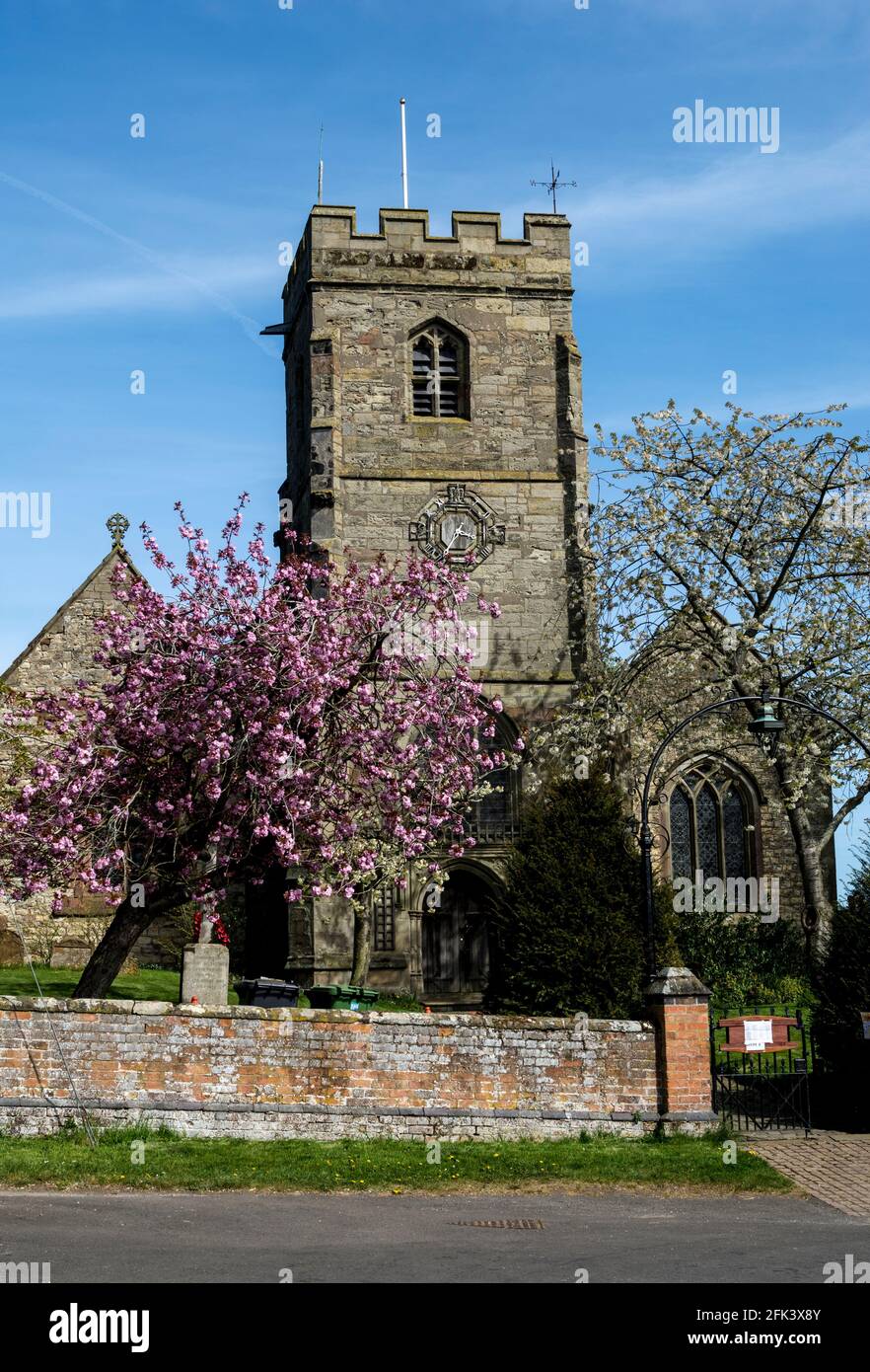 All Saints Church in spring, Harborough Magna, Warwickshire, England ...