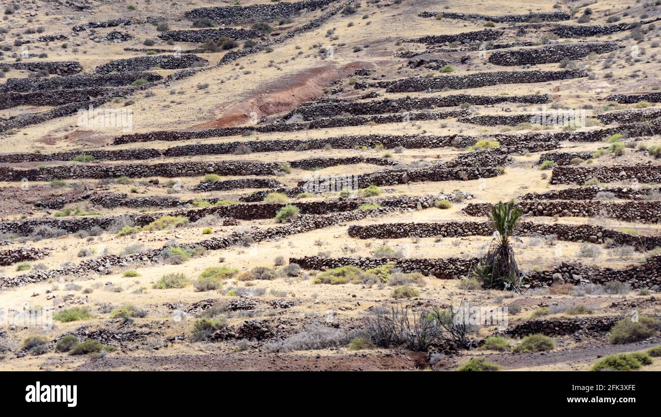 Terraced dry stone walls hi-res stock photography and images - Alamy