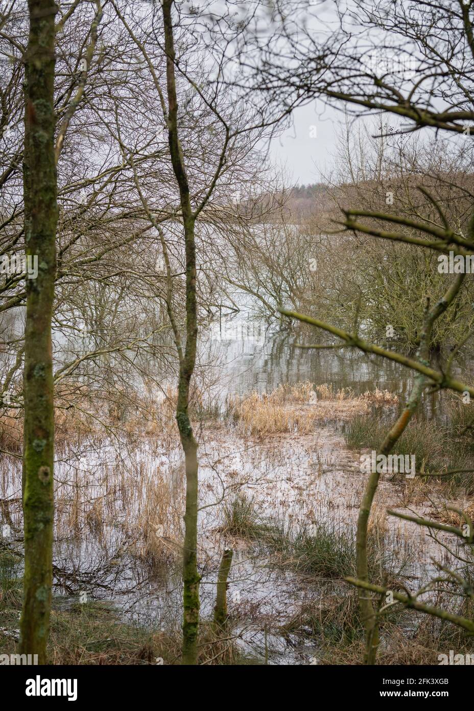 Views around Watergrove Reservoir, Greater Manchester Stock Photo - Alamy