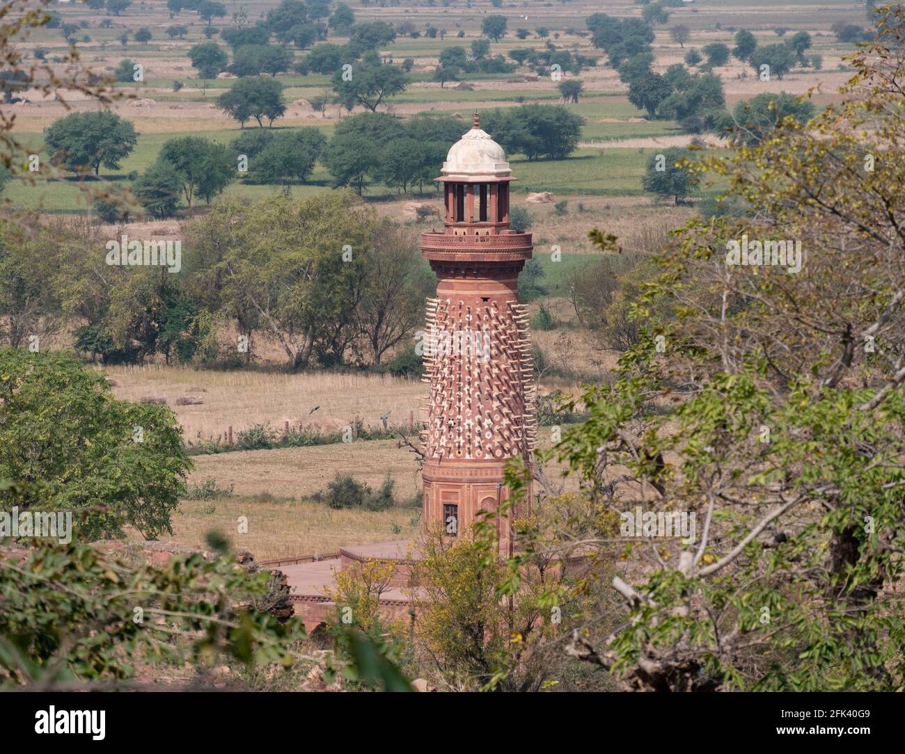 Hiran hi-res stock photography and images - Alamy