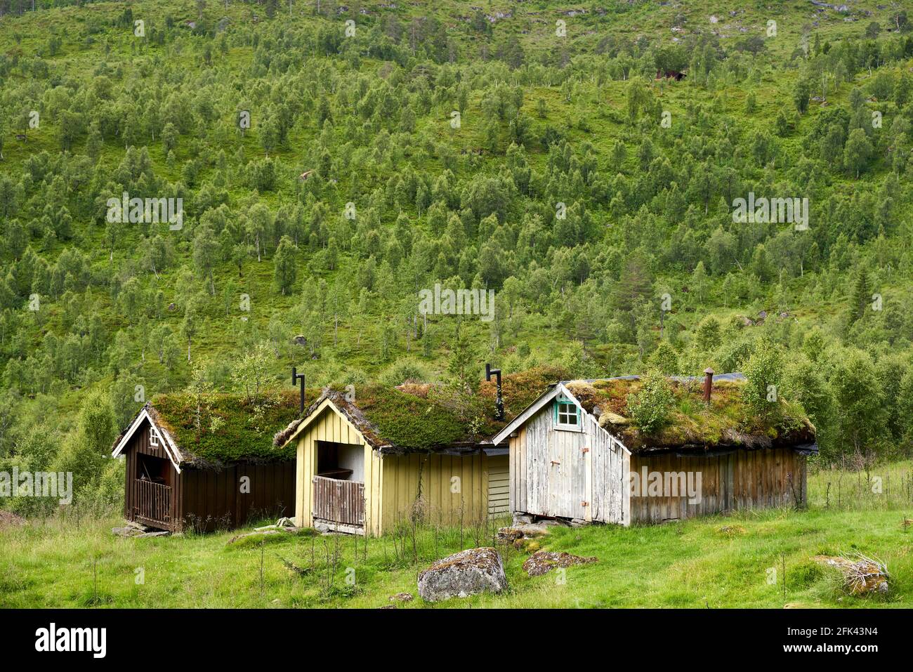 Beautiful mountainous landscape with greenery and cabins in Western ...