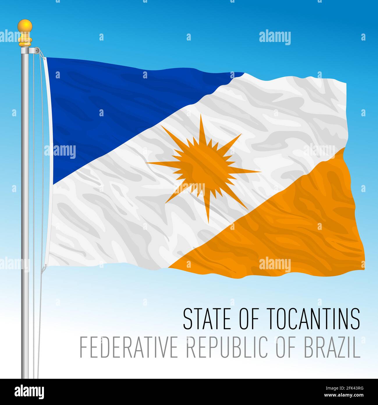 State of Tocantins, official regional flag, Brazil, vector illustration ...