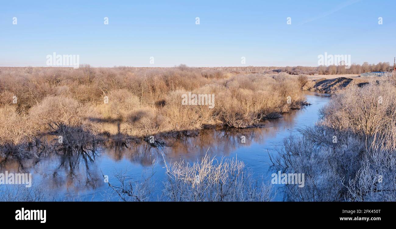 Siberian river Vagai in the early morning. The grass and bushes are ...