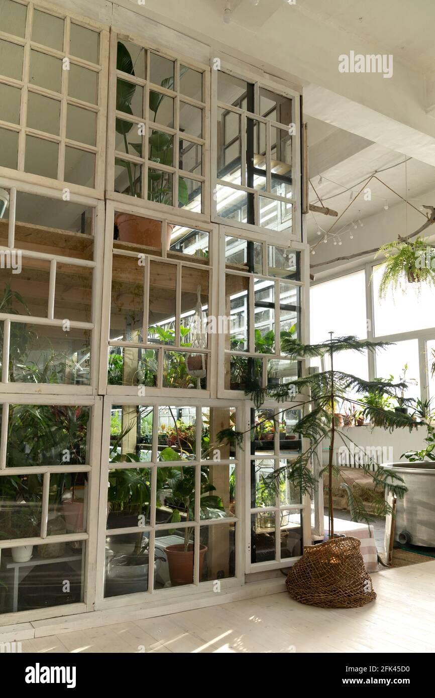 Retro houseplant hi-res stock photography and images - Alamy