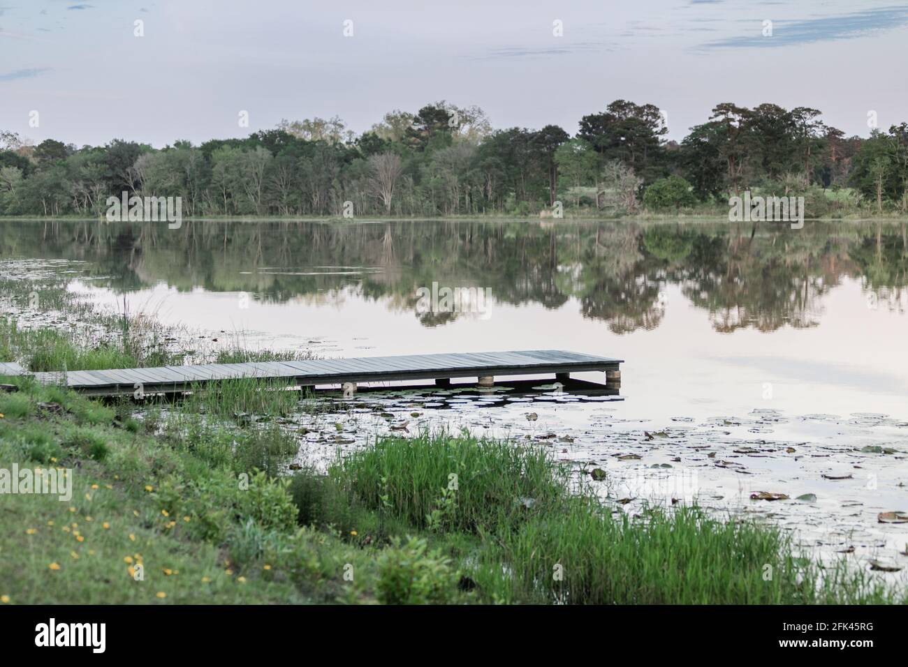 Georgia pond hi-res stock photography and images - Alamy