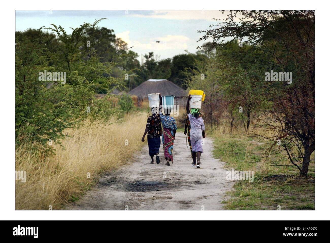 Independent Christmas Appeal......Integrated Rural Development and ...