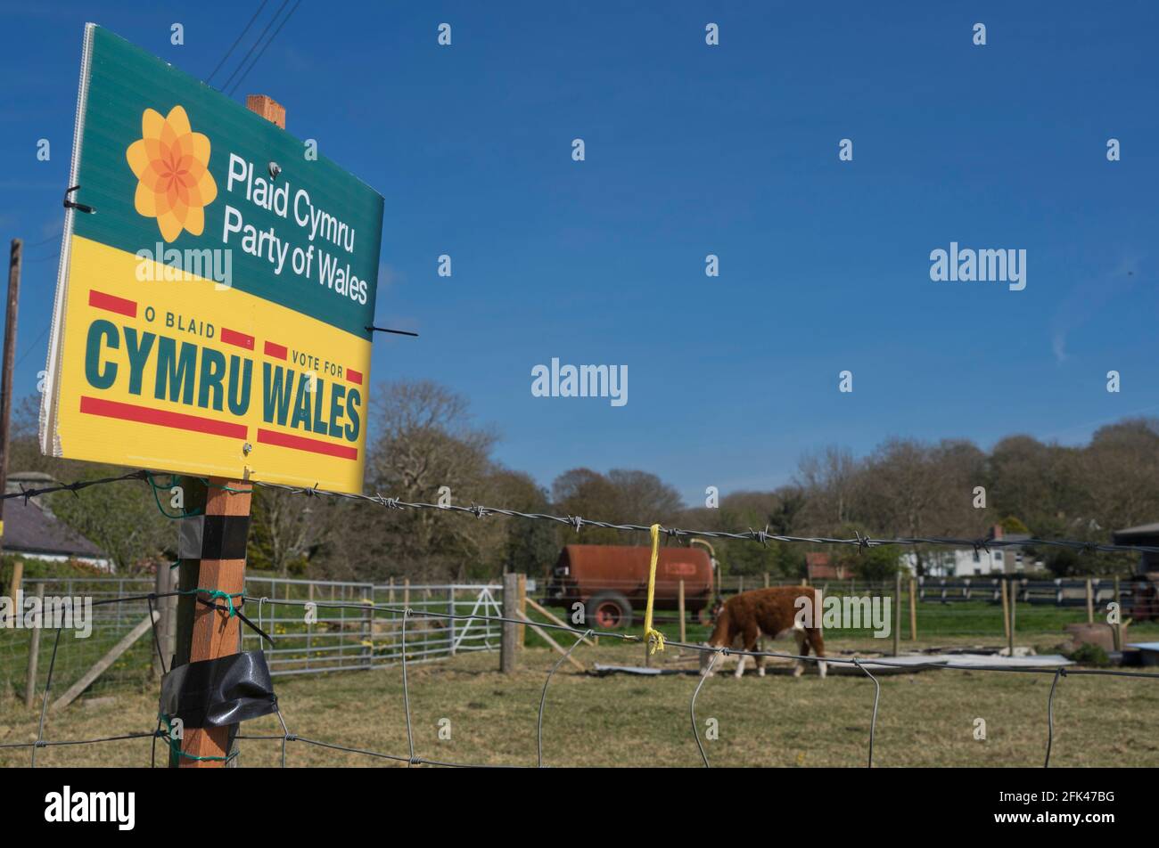 Plaid Cymru Party of Wales election banner in rural Wales ahead of the ...