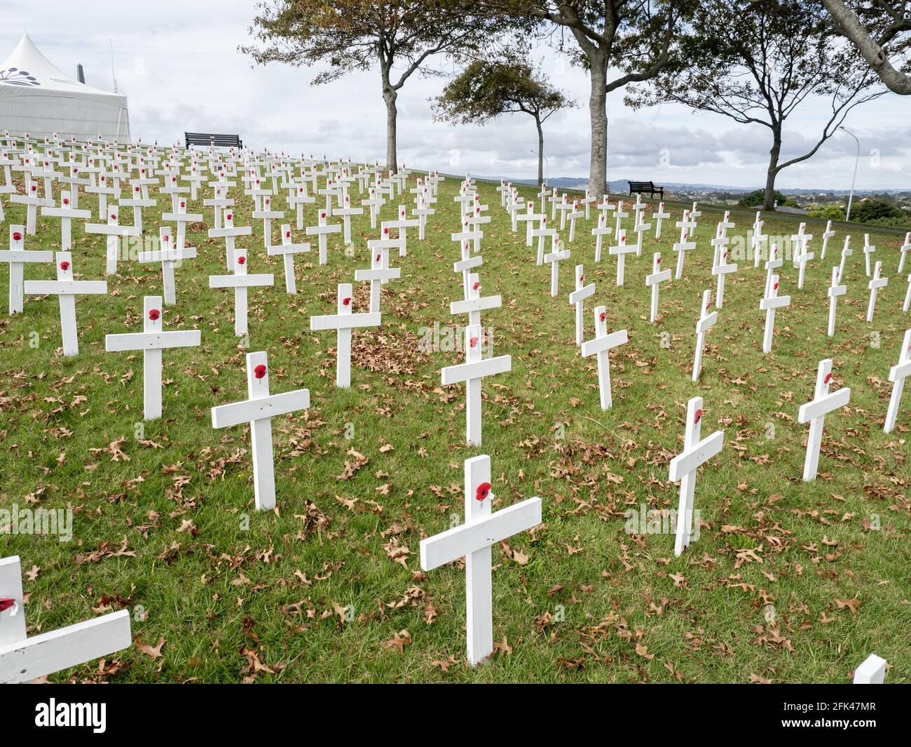 AUCKLAND, NEW ZEALAND - Apr 27, 2021: View of White crosses on Anzac ...