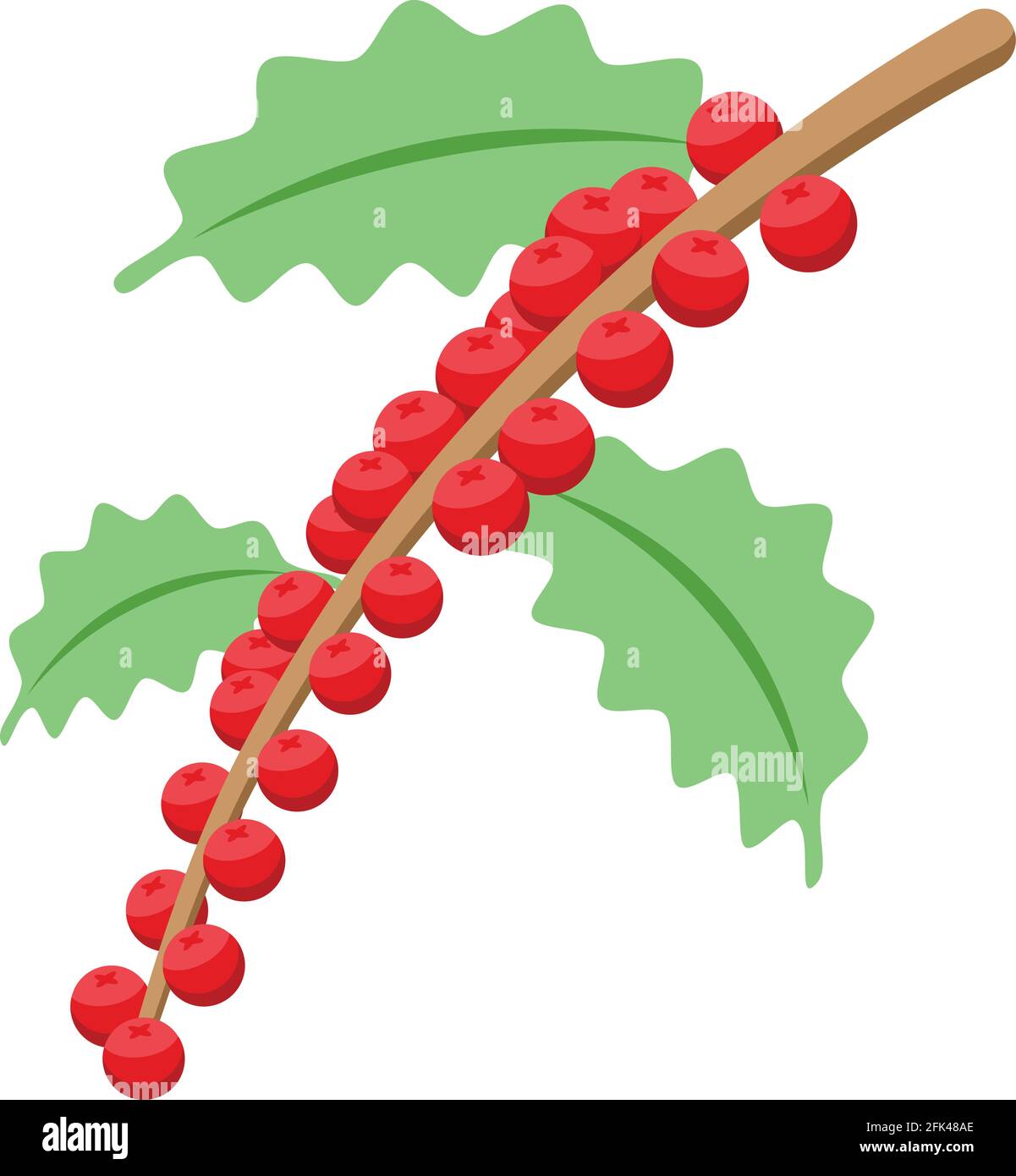 Coffee branch icon. Isometric of Coffee branch vector icon for web ...