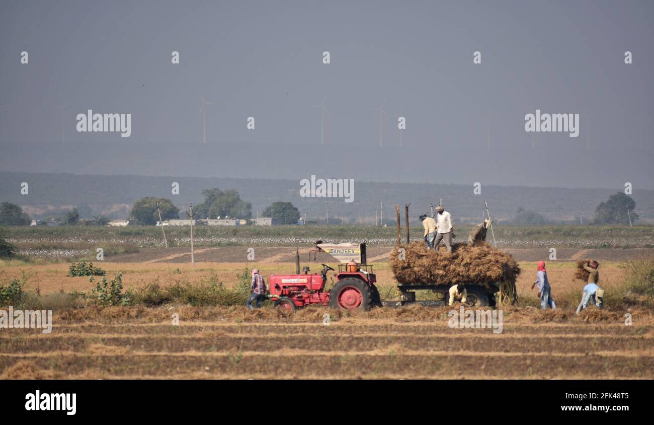 Rice loading india hi-res stock photography and images - Alamy