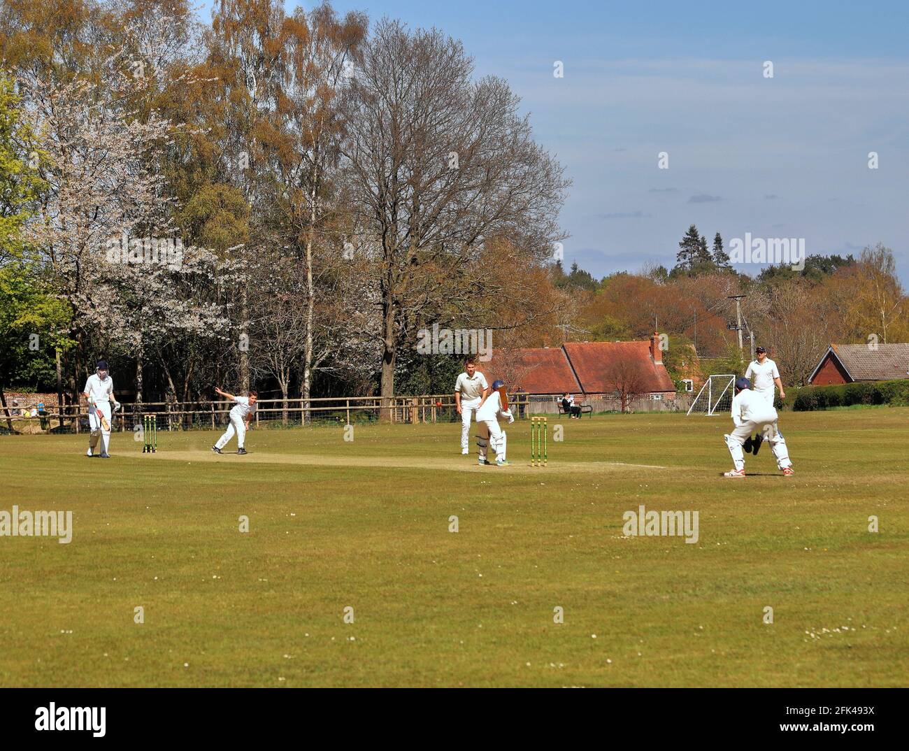Cricketers in action at an English Cricket match on the Village green ...