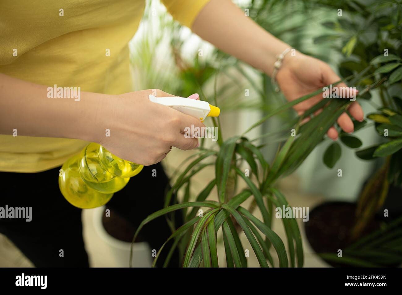 Domestic life domestic room hi-res stock photography and images - Alamy