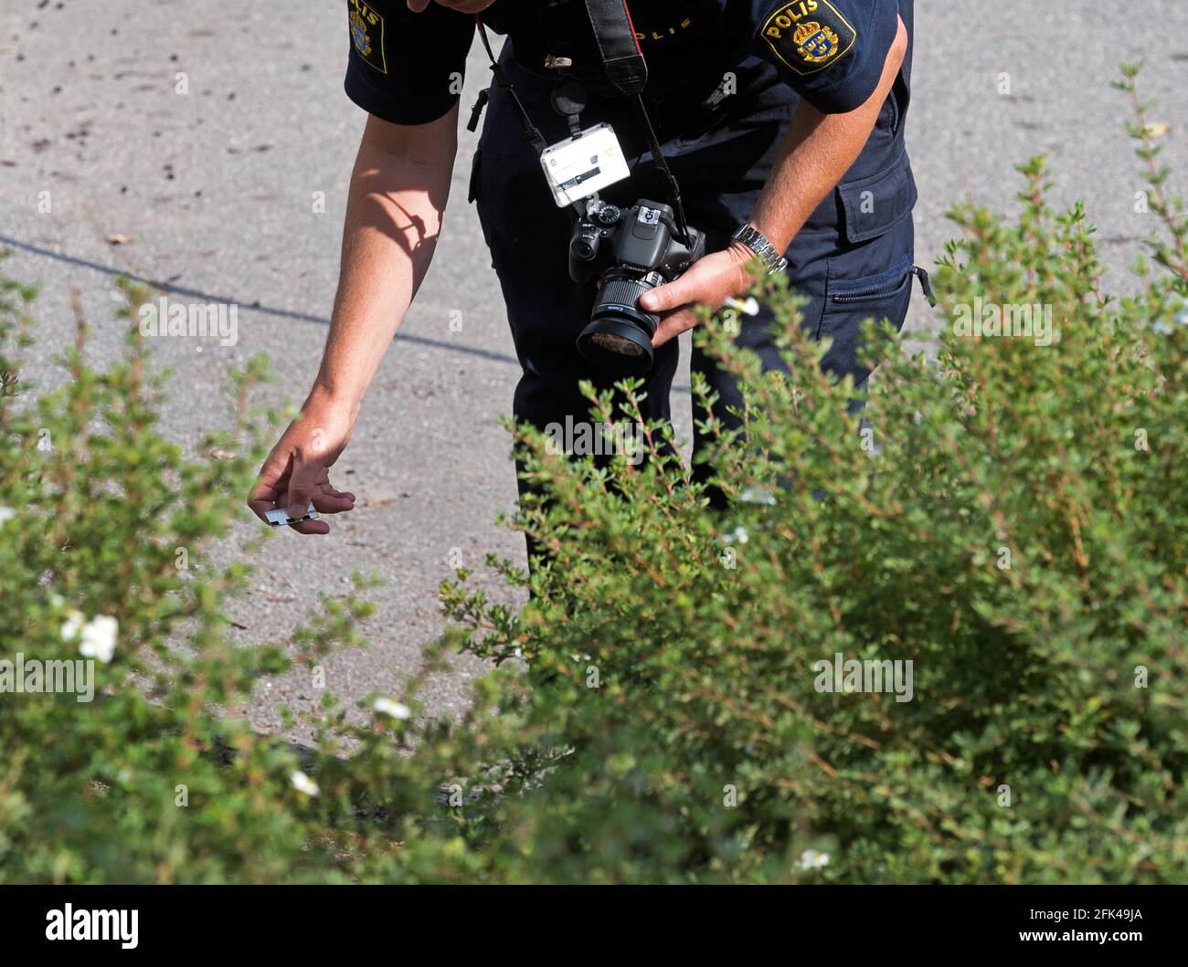 Police forensics staff at a crime scene Stock Photo - Alamy