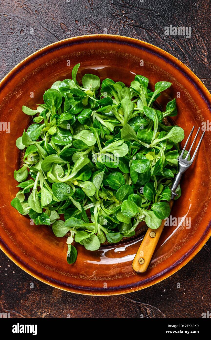 Fresh green corn salad leaves on a rustic plate. Dark background. Top ...