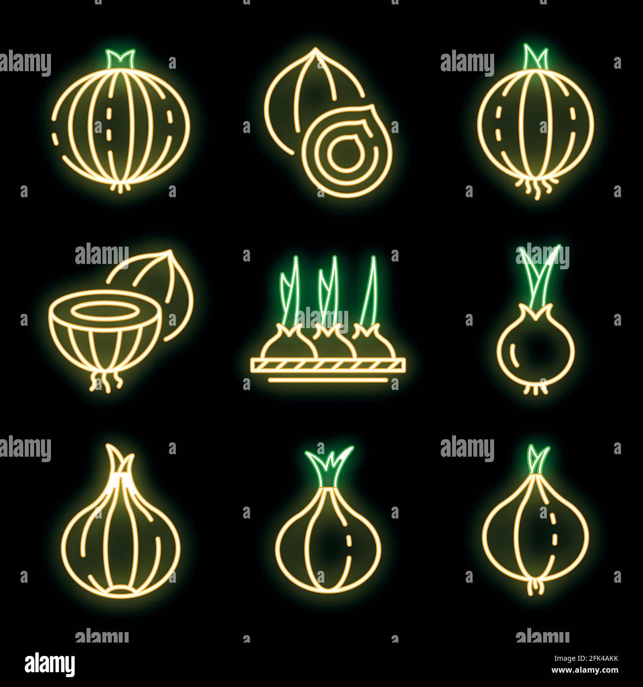 Onion icons set. Outline set of onion vector icons neon color on black ...