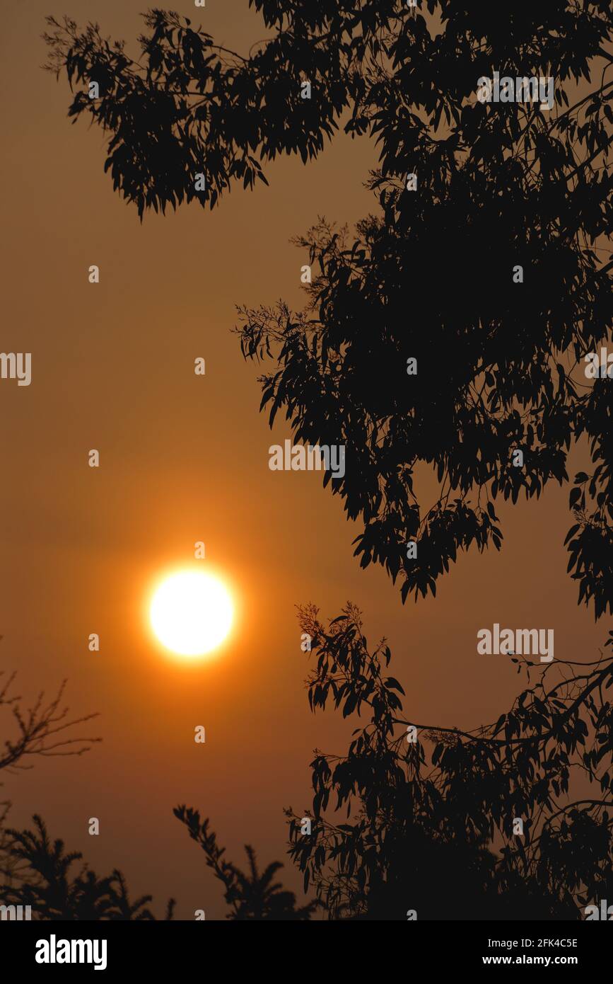 Setting sun and tree silhouette hi-res stock photography and images - Alamy