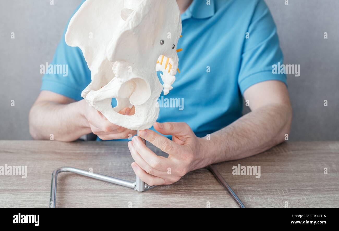 Ischial spine hi-res stock photography and images - Alamy