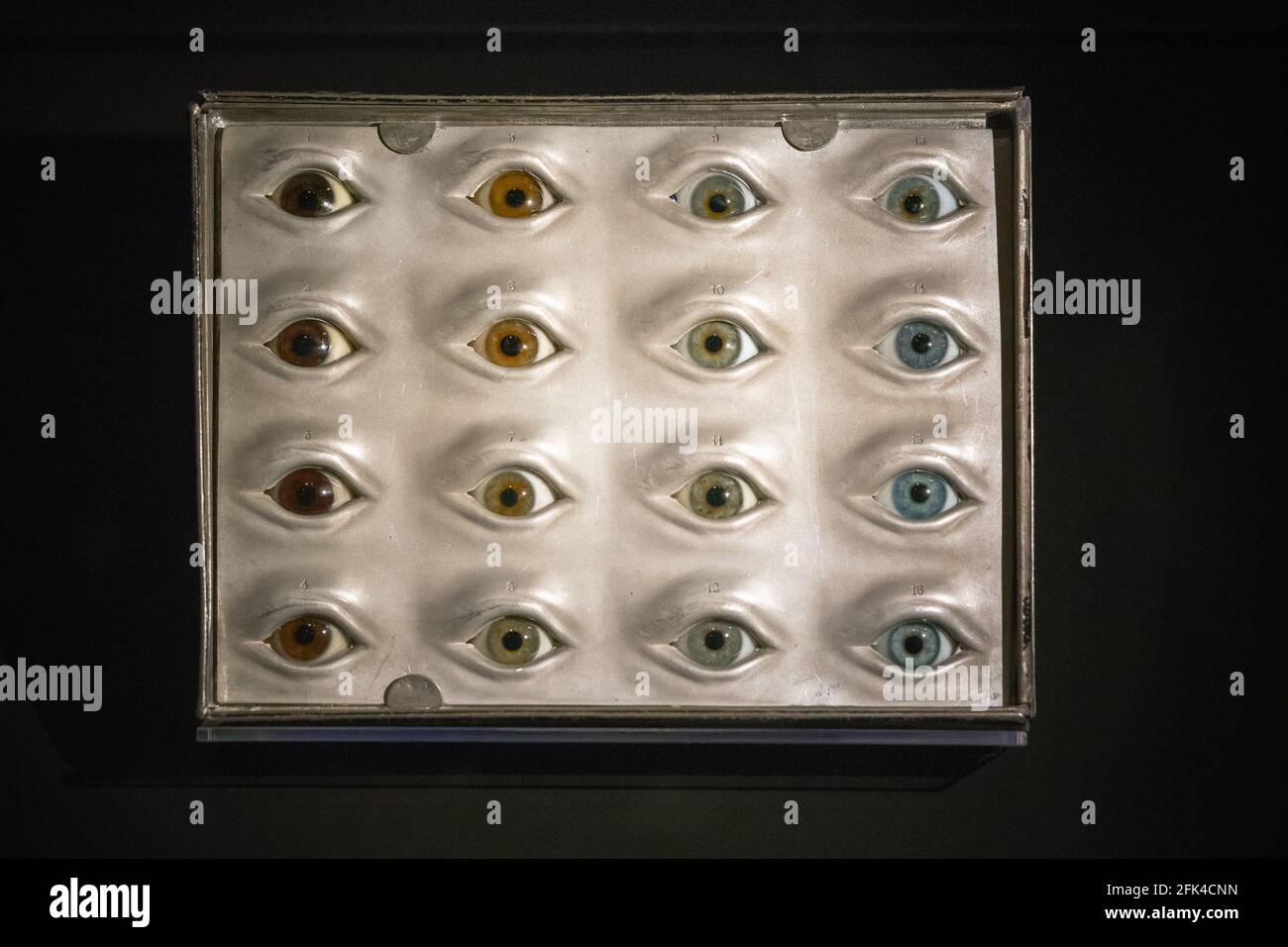 Box of glass eye on display at Science Museum in London Stock Photo - Alamy