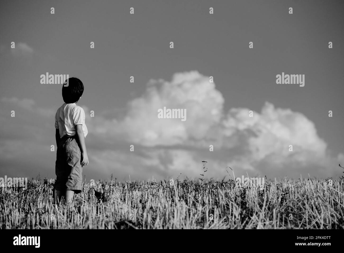 Kid standing on meadow alone , white black Stock Photo - Alamy