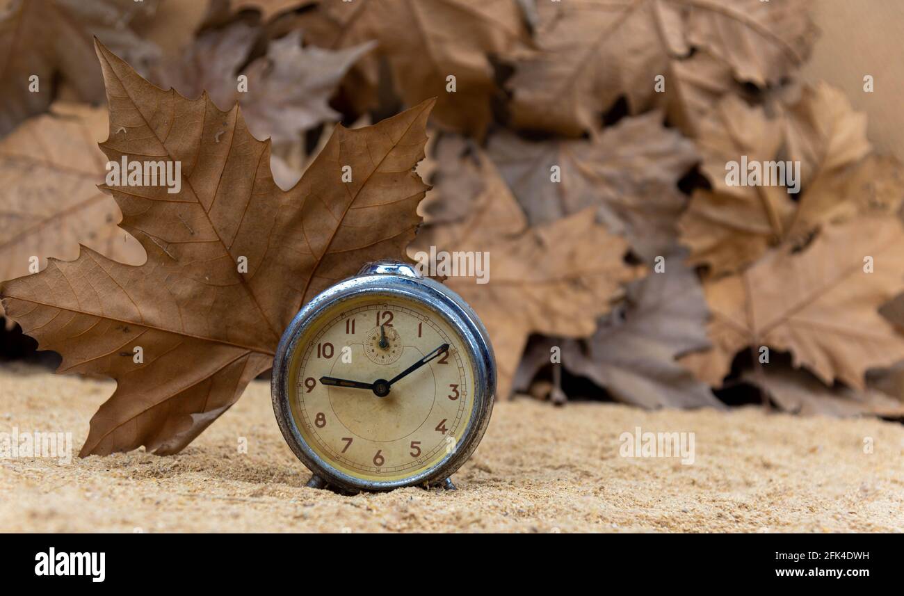 Old analog clock and maple leaves on the crushed wooden background ...