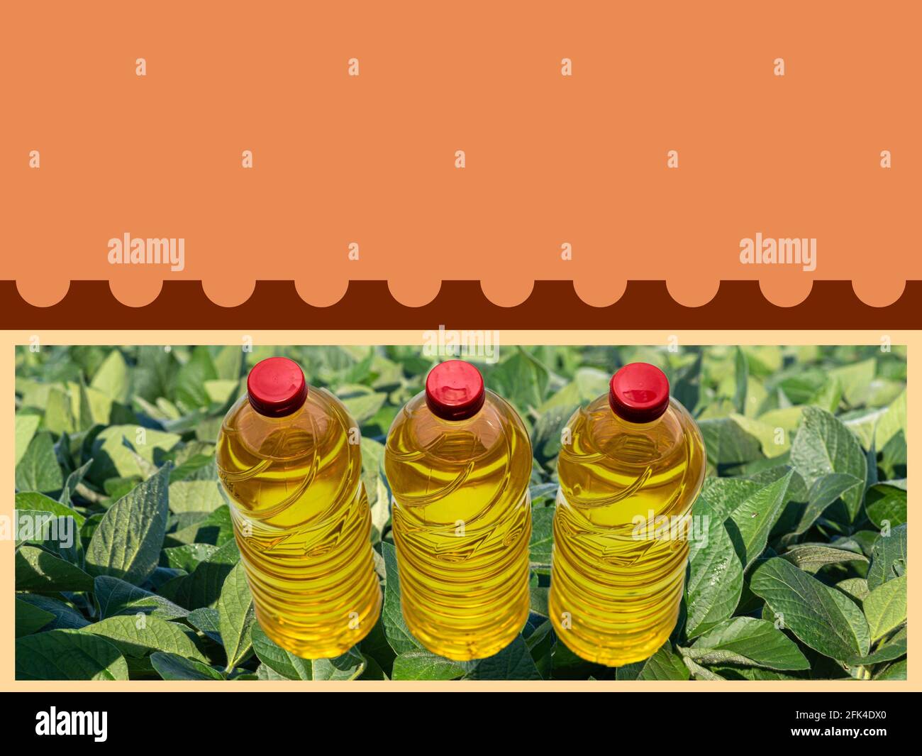 Plastic bottles with edible soy oil on a commercial and themed ...