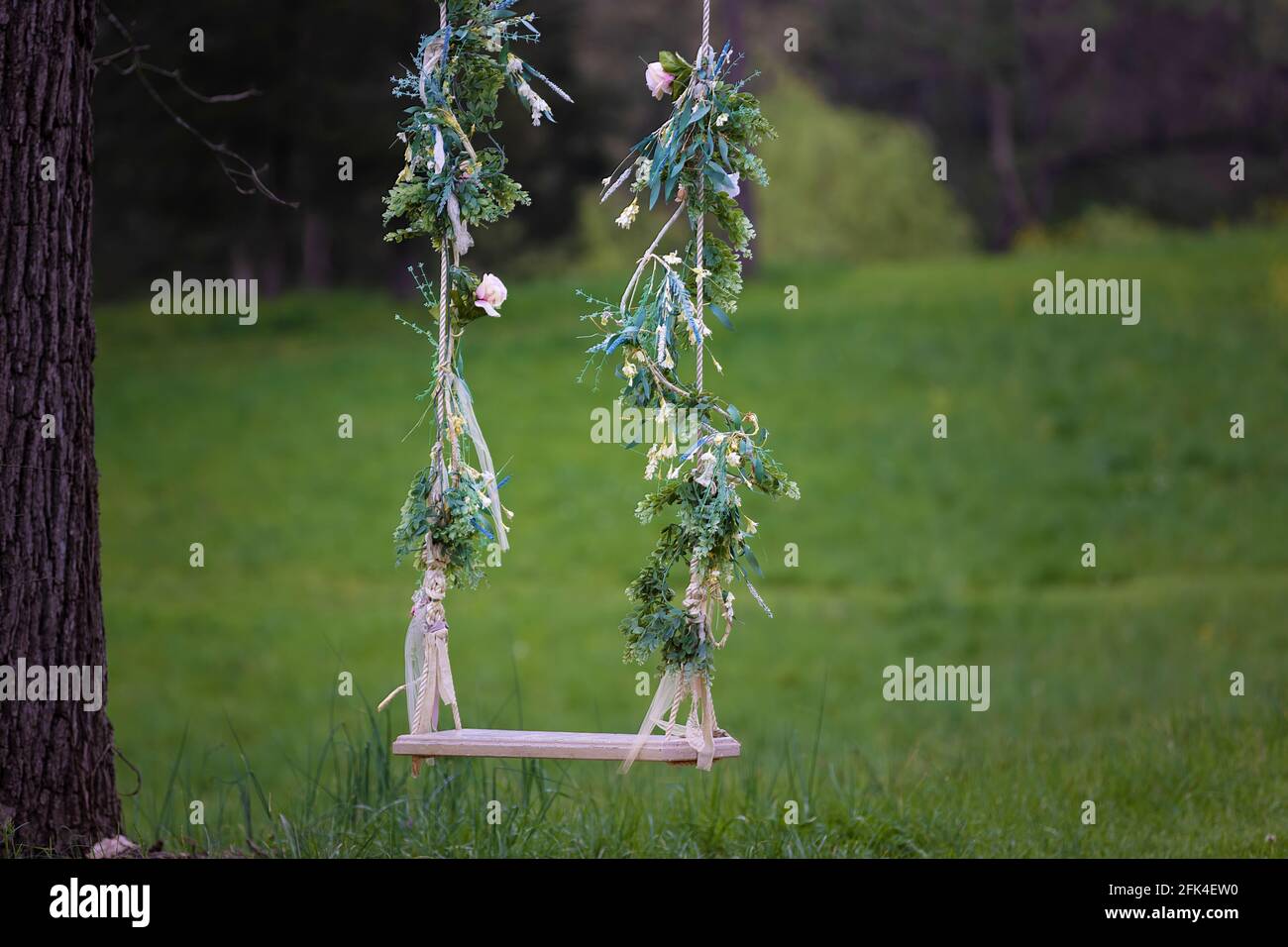 Rope swing hanging from tree hi-res stock photography and images - Alamy