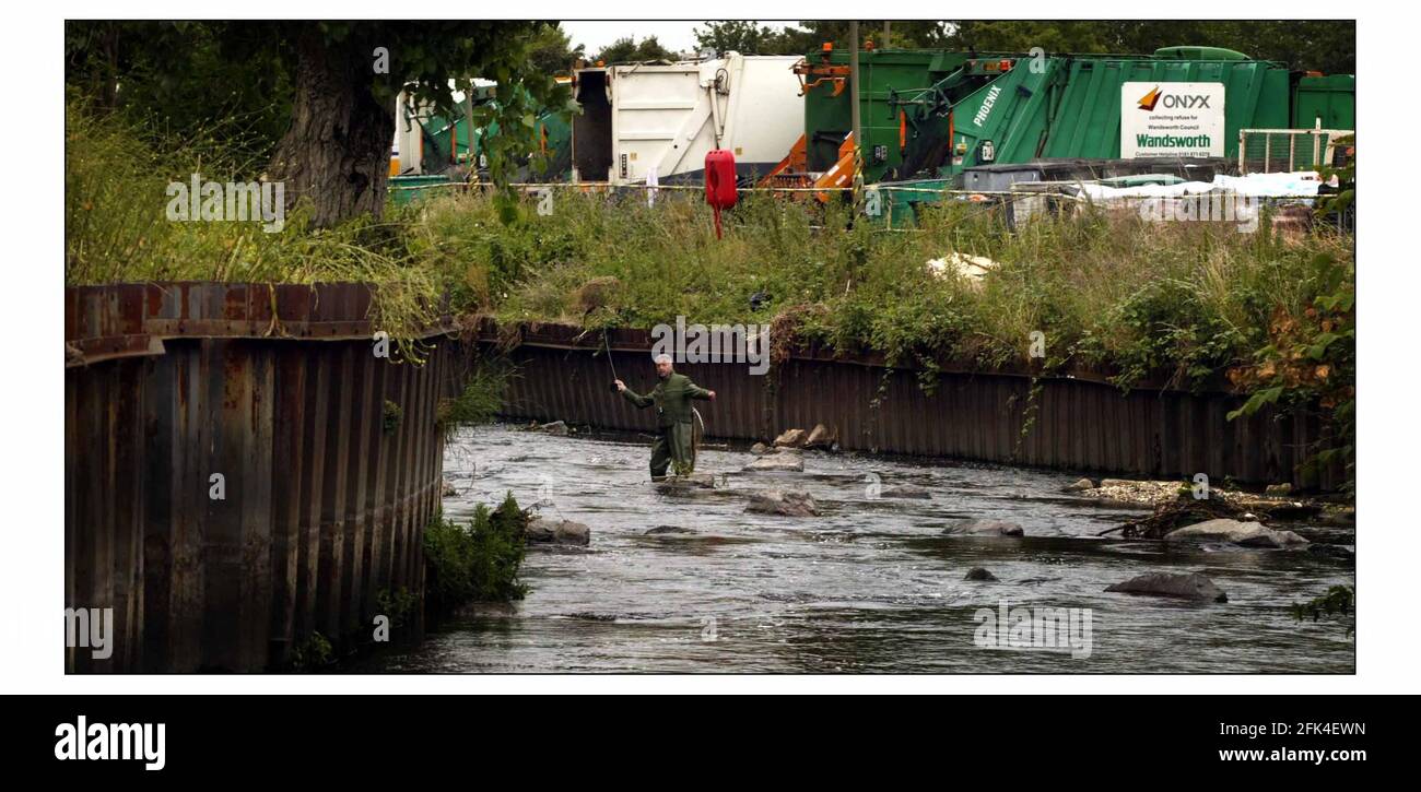 The river Wandle in south London, where a fisherman caught a trout ...