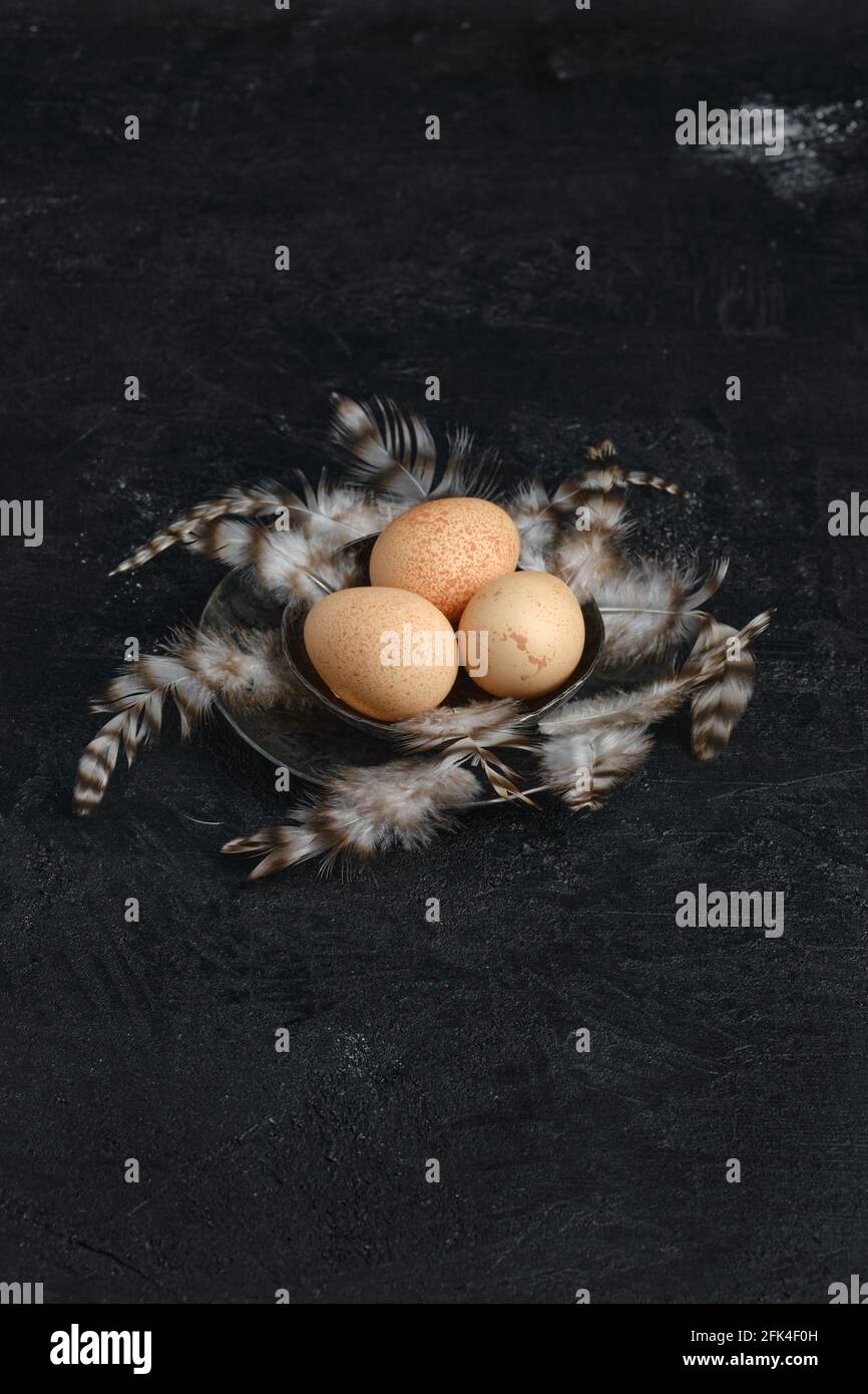 Guinea fowl eggs hi-res stock photography and images - Alamy