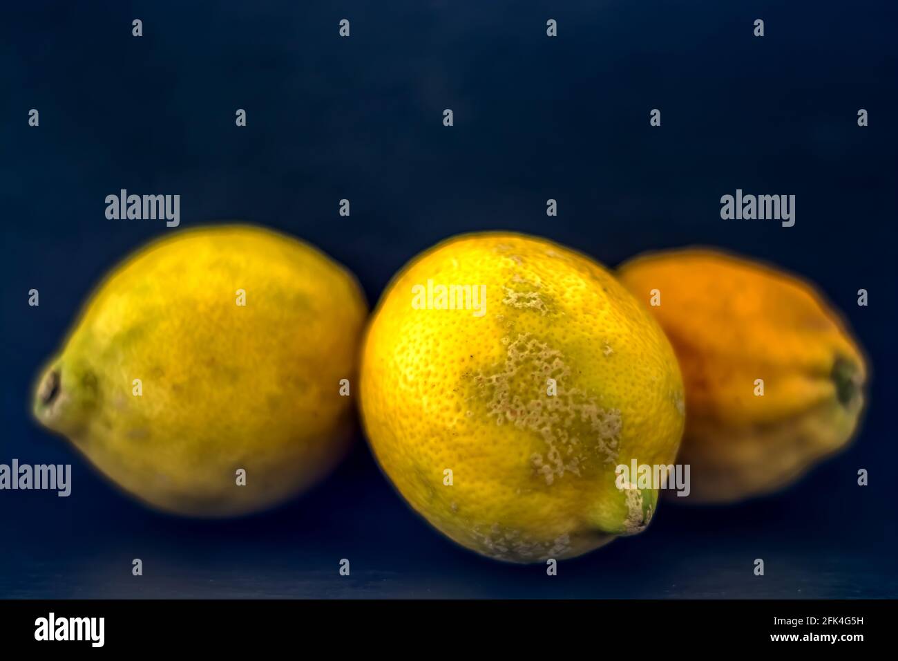 Fruit : Citrus boost Stock Photo - Alamy