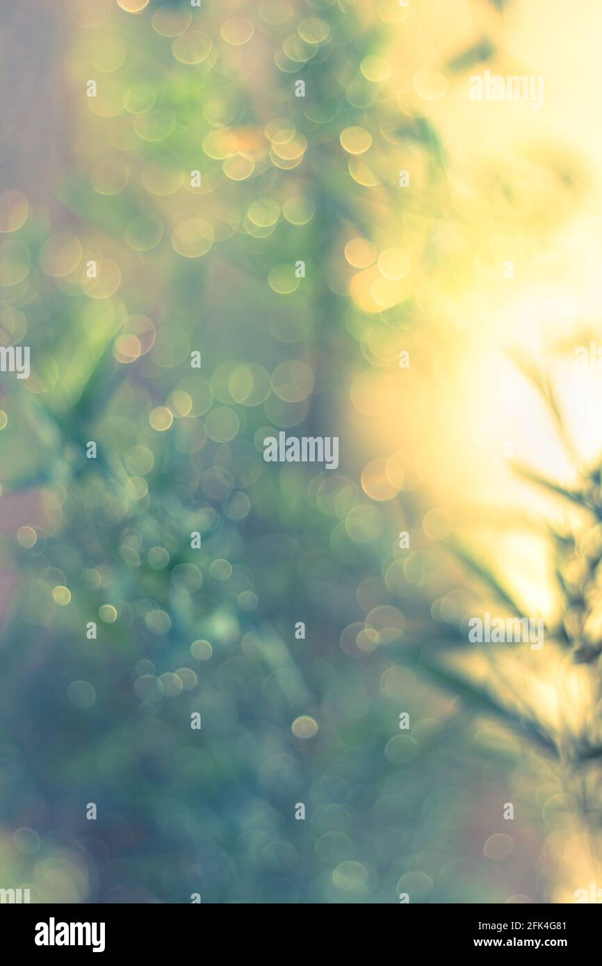 Defocused Bokeh, twinkling lights vintage blurred bokeh abstract light ...