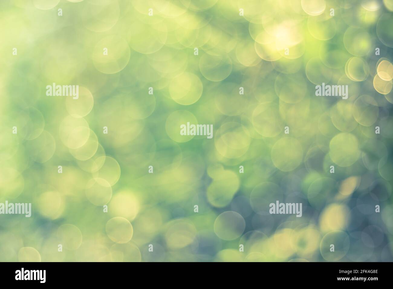 Defocused Bokeh, twinkling lights blurred bokeh abstract light spring ...