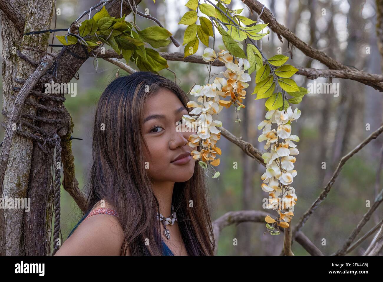 Puka trees hi-res stock photography and images - Alamy