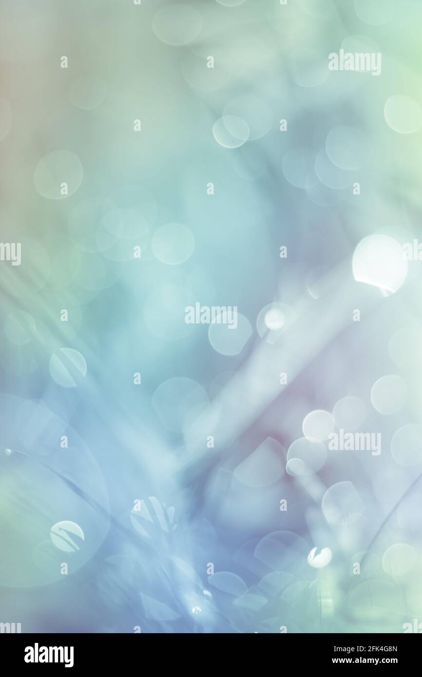Defocused Bokeh, twinkling lights blurred bokeh abstract light spring ...