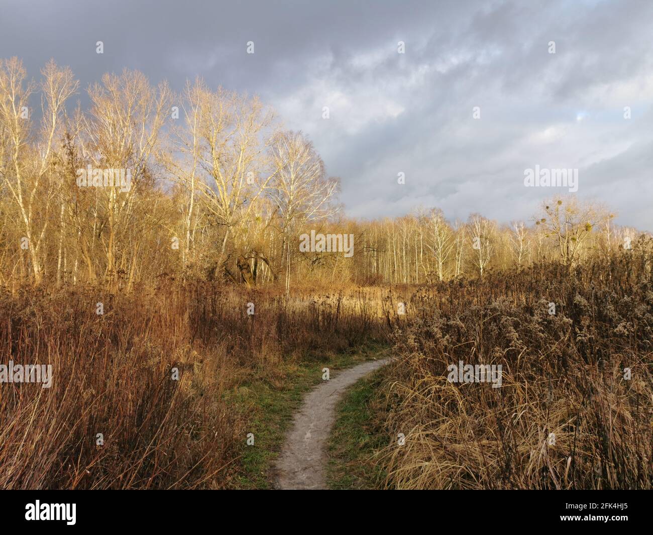 Bemowo warsaw poland hi-res stock photography and images - Alamy