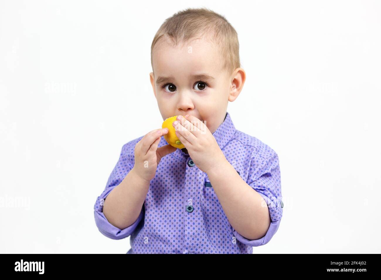 Caucasian boy 3 years old eating lemon on white background Stock Photo ...