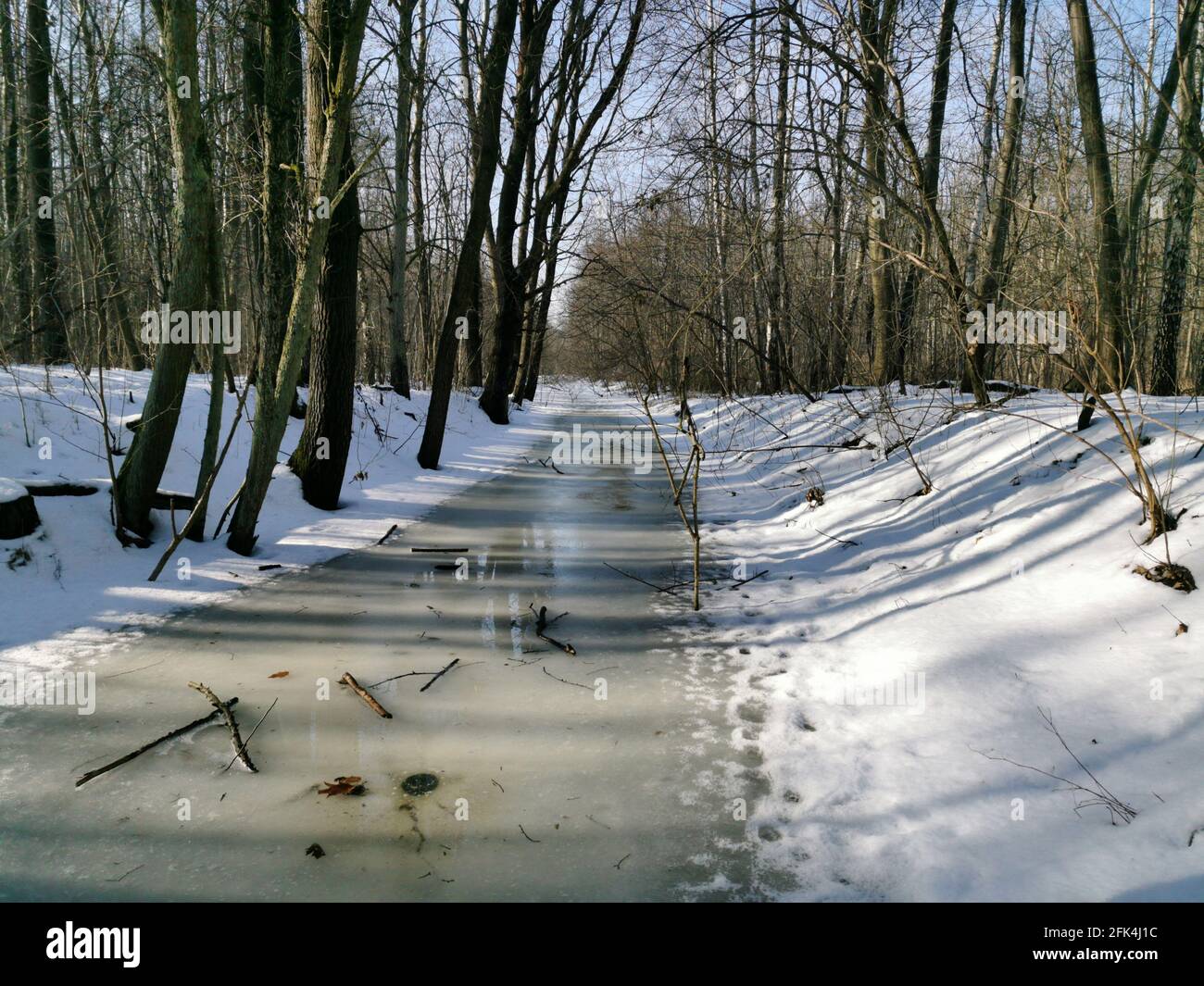 Bemowo Forest. The green part of Warsaw Stock Photo - Alamy