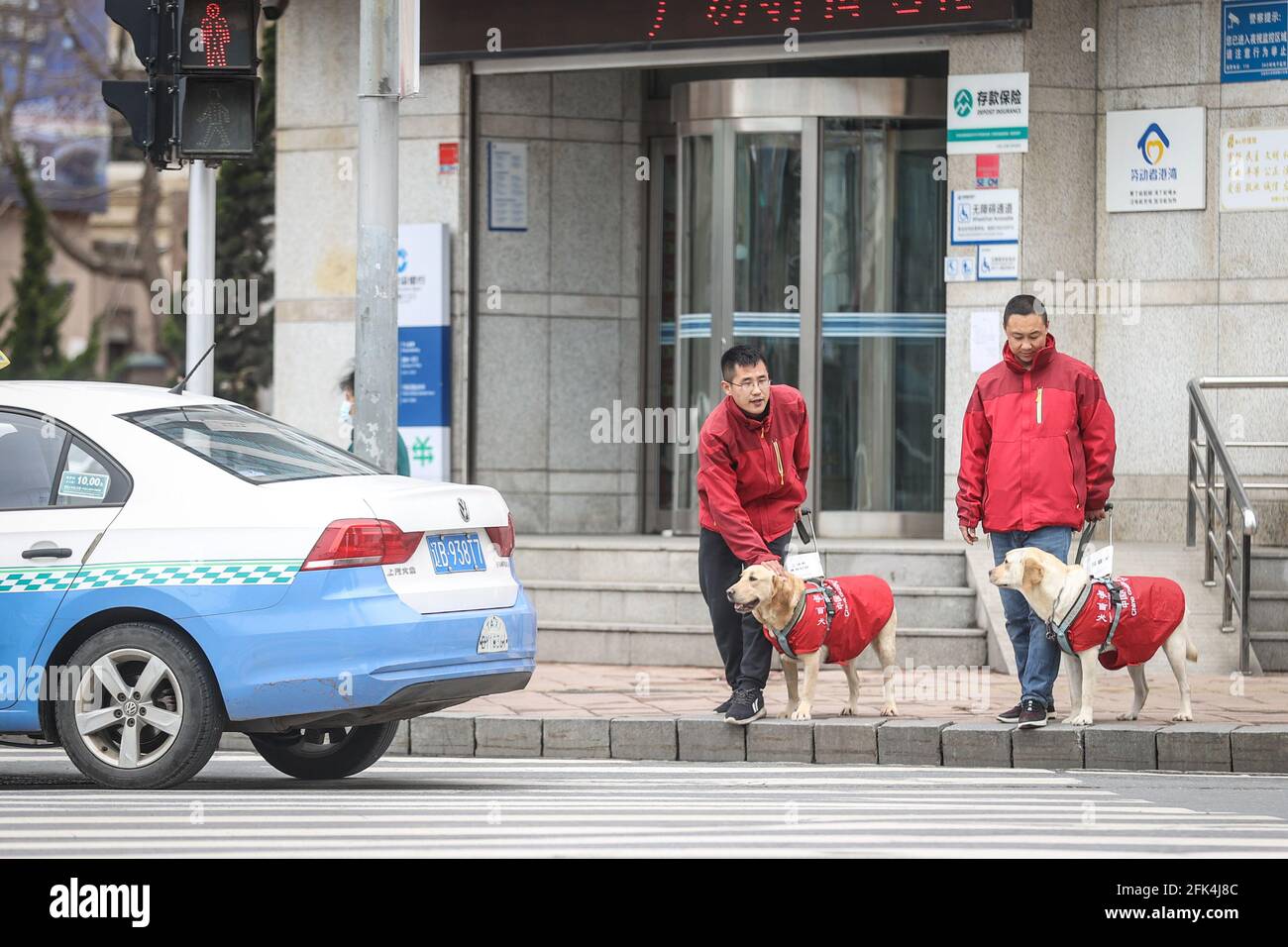 Street dogs in china hi-res stock photography and images - Alamy