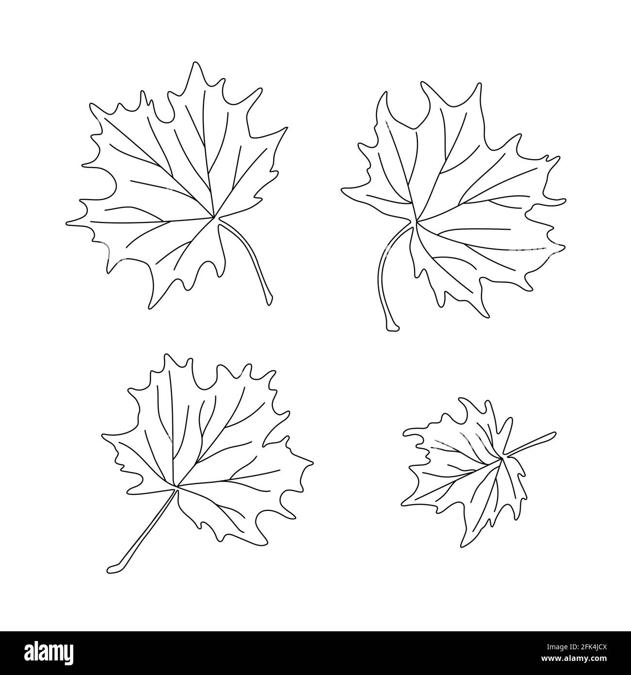 Leaves simple vector minimalist concept outline illustration, thin line ...