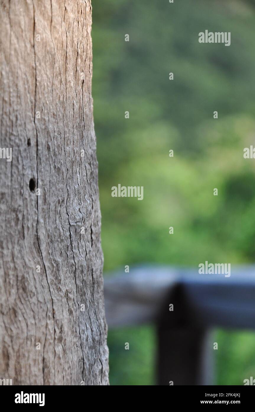 Close-up of old wooden column texture. Byeongsan Seowon, Andong, South ...