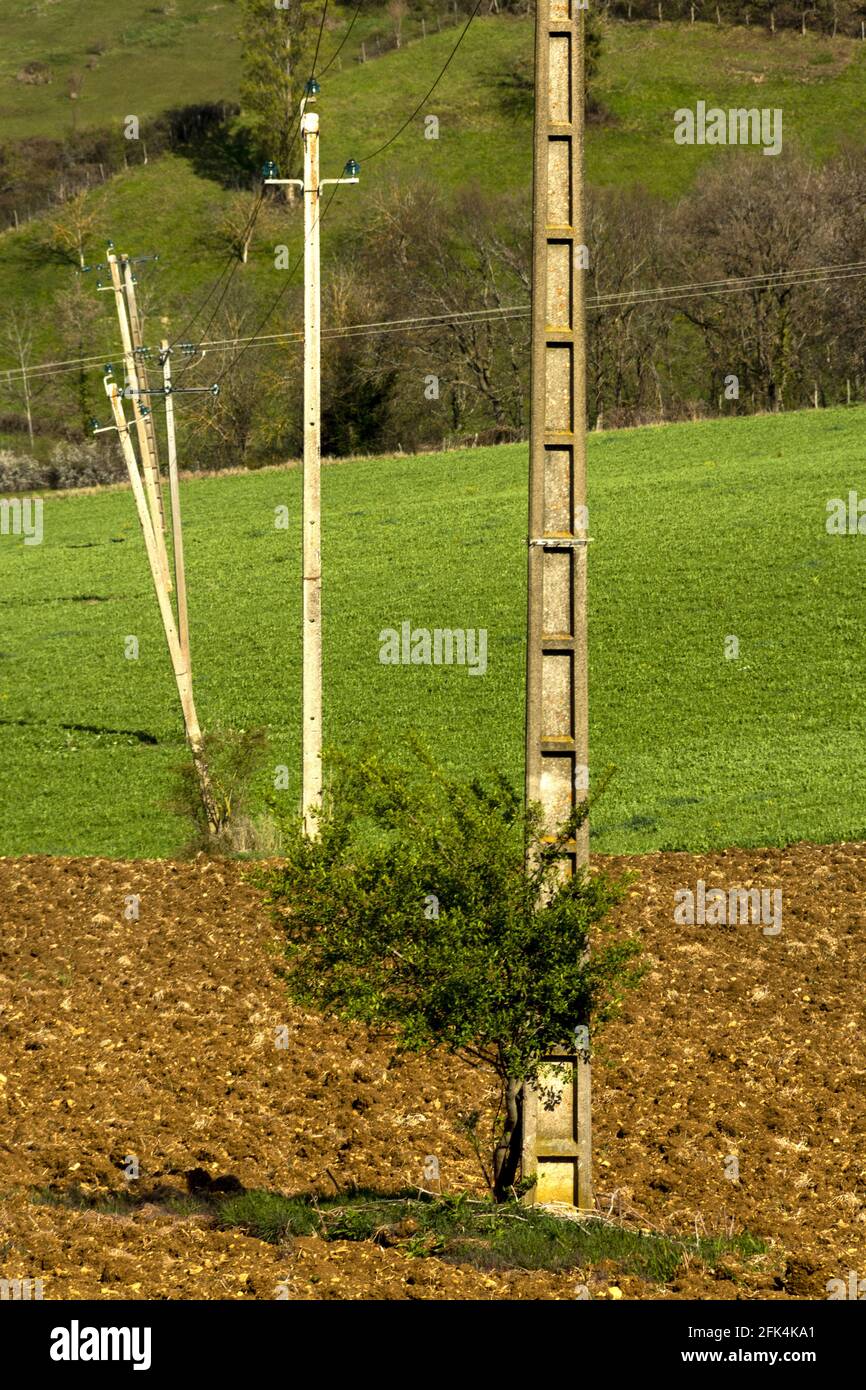 Beautiful shot of concrete electric poles broken in two by the storm ...
